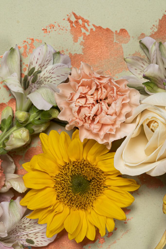 Carnation – Flowers of colombia