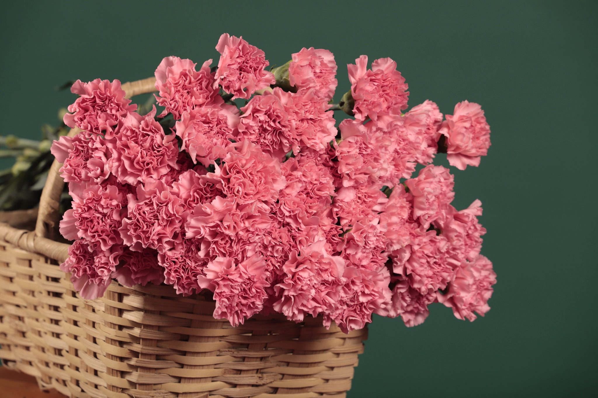 Winter wonderland: Decorating with Flowers of Colombia – Flowers of ...